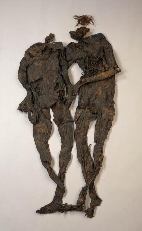 The Astonishingly Violent Backstories Of Bog Bodies Preserved For Centuries
