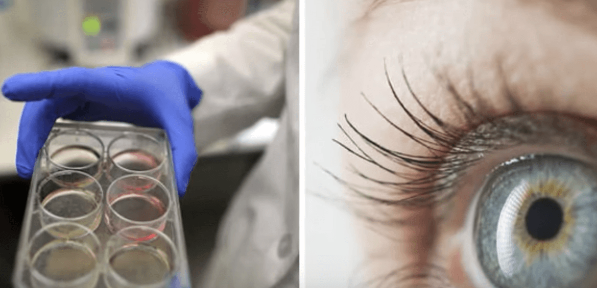 2018 Scientific Breakthroughs & Science News