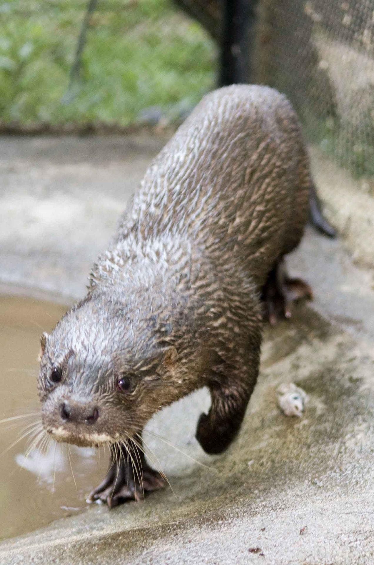 People Who Survived Wild Animal Attacks Tell Their Stories