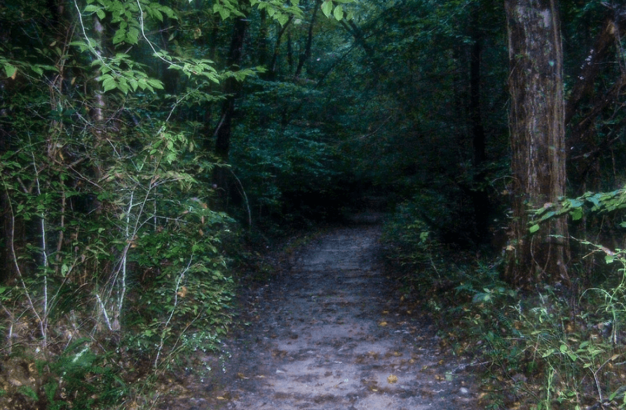 National Park Disappearances: Is There A Paranormal Explanation For Them?