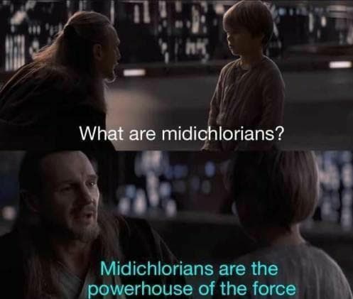 26 Hilarious Star Wars Prequel Memes