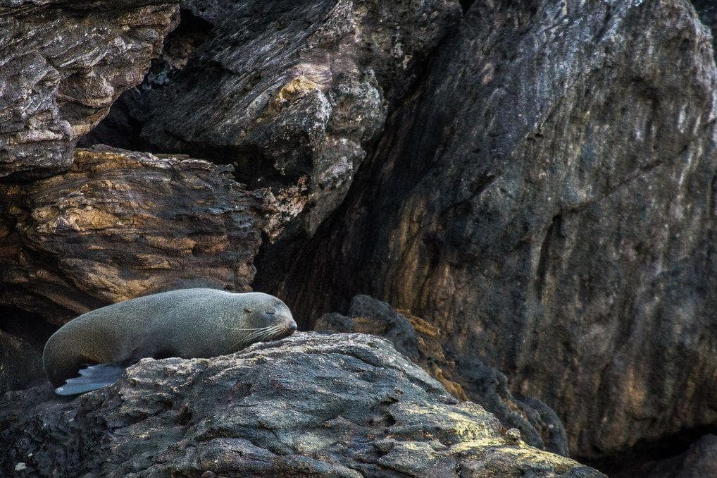 Over 100 People Couldn't Save John Jones From Suffocating While Trapped ...