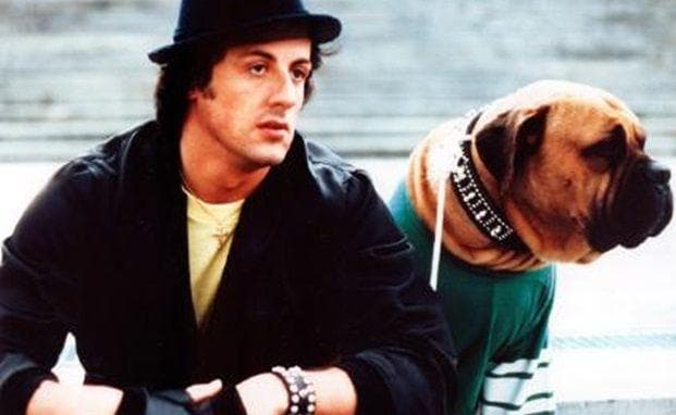 18 Behind The Scenes Facts About The Making of 'Rocky'