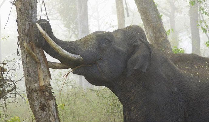 Weird Scientific Experiments That You Won't Believe People Actually Got ...