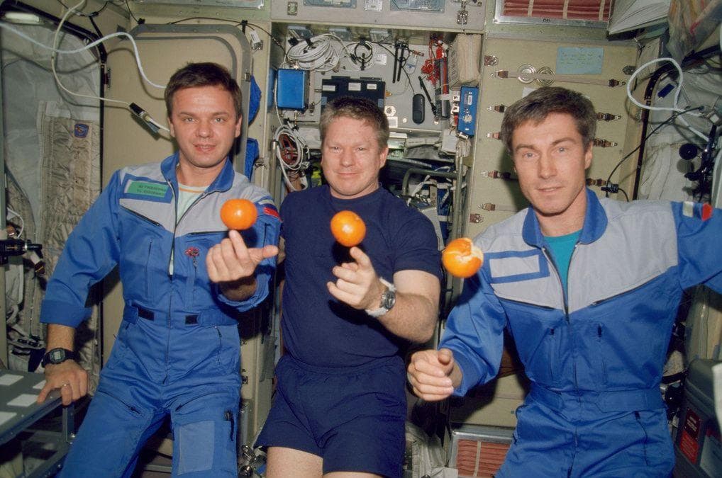 The Weirdest Experiments Conducted From The ISS