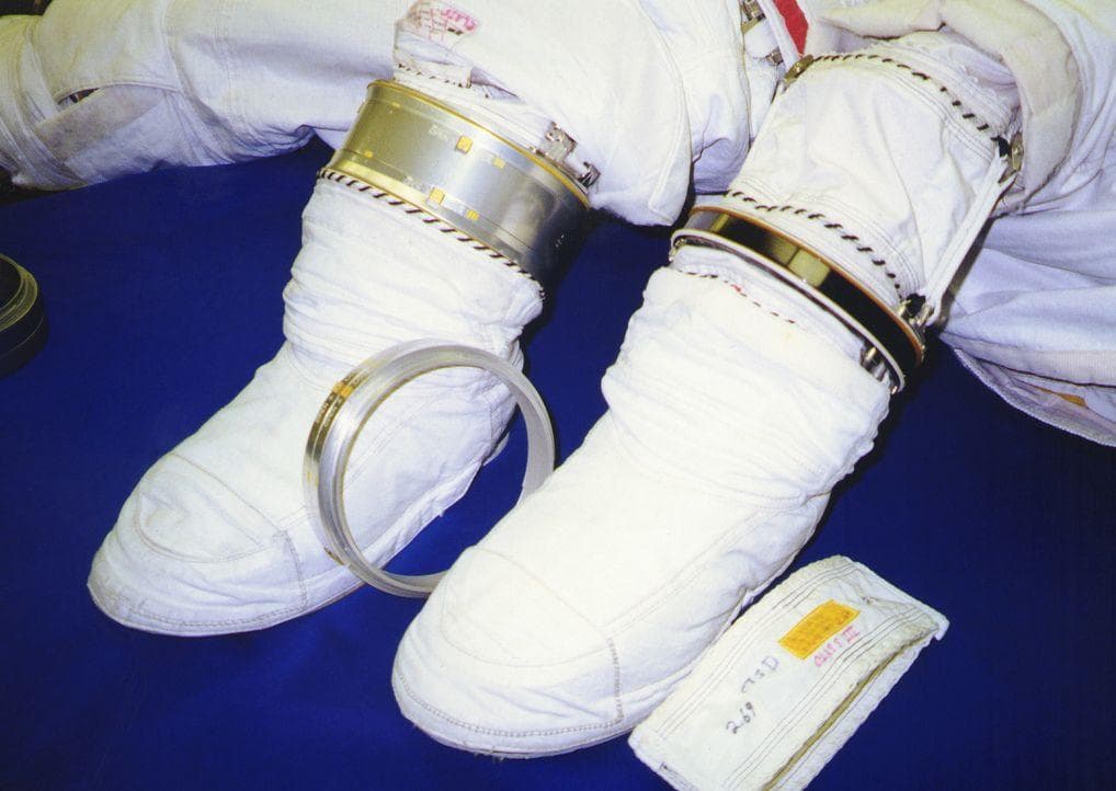 The Weirdest Experiments Conducted From The ISS