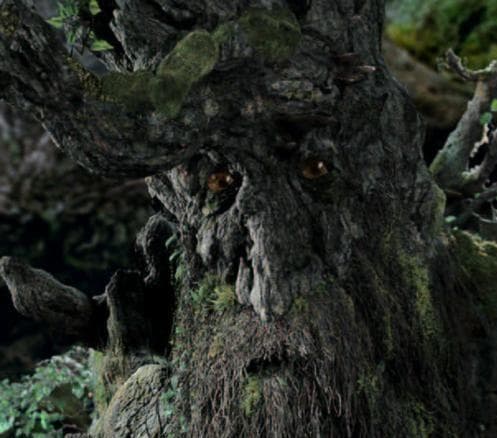 15 Huge Plot Points That Were Left Out of the LOTR Movies