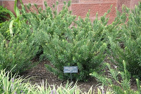 Here Are 12 Things You Can Do With Someone's Cremated Remains