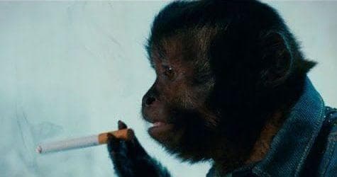 Making 'The Hangover' Trilogy Was Even Wilder Than The Movie's Plots