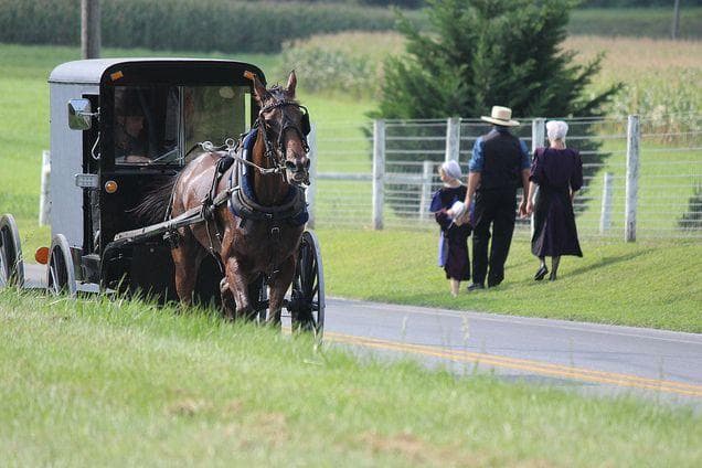 What Happened To Timmothy Pitzen?