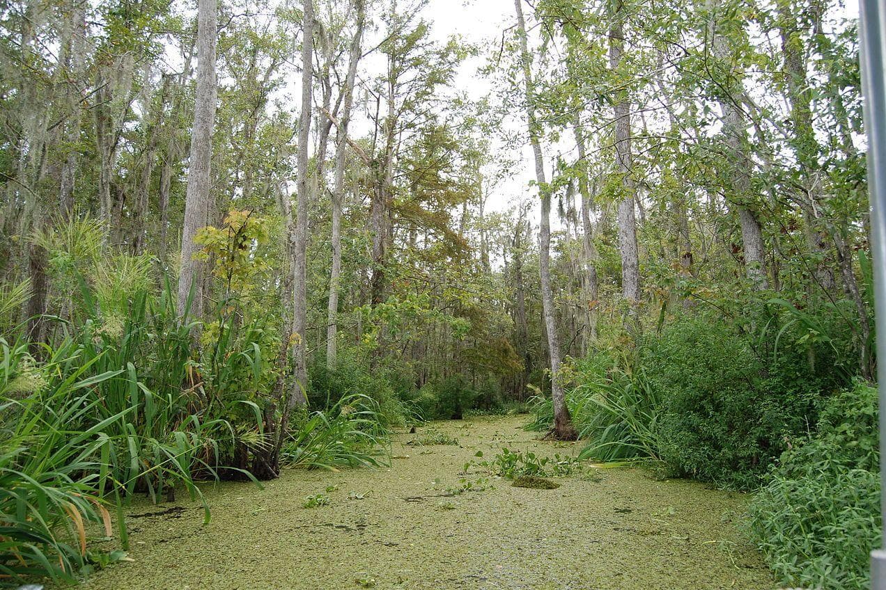 The Mysterious Disappearance Of Bobby Dunbar