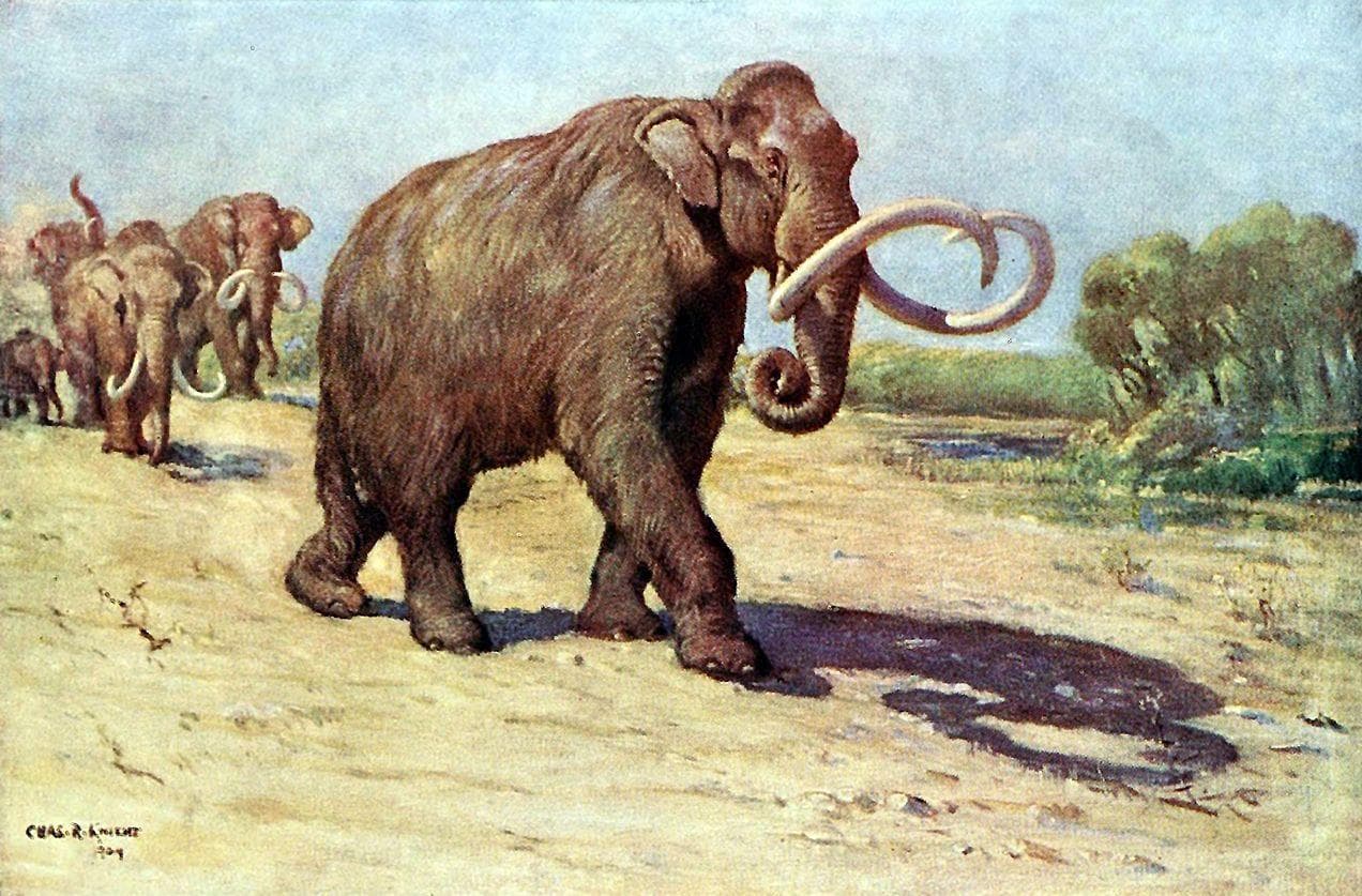 Apparently Ancient Humans Used To Battle Gigantic 8 Foot Sloths - And ...