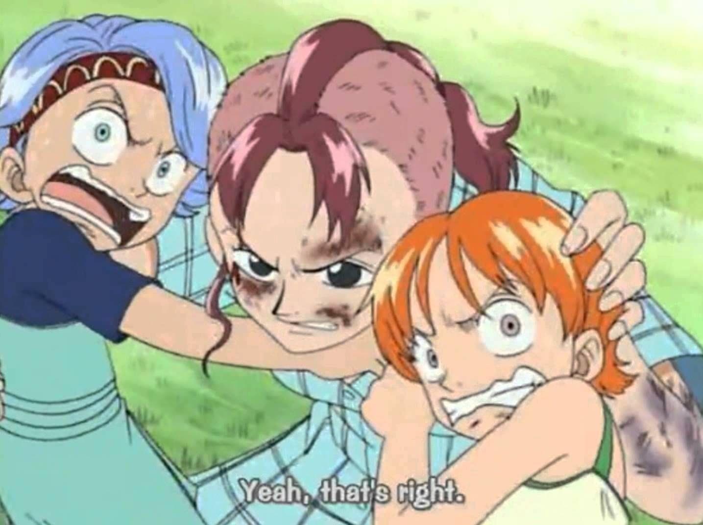 13 Reasons You Should Finally Watch One Piece