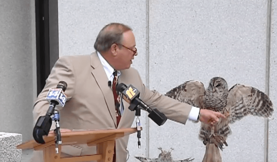 Did Michael Peterson Really Kill His Wife In Cold Blood, Or Did An Owl ...