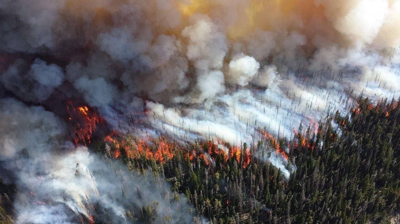 The Worst Wildfires in History