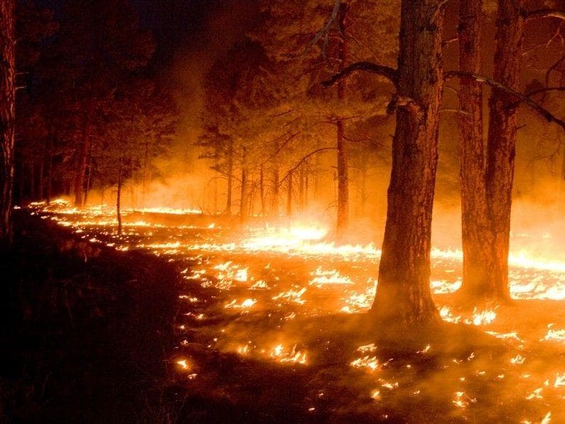 The Worst Wildfires in History