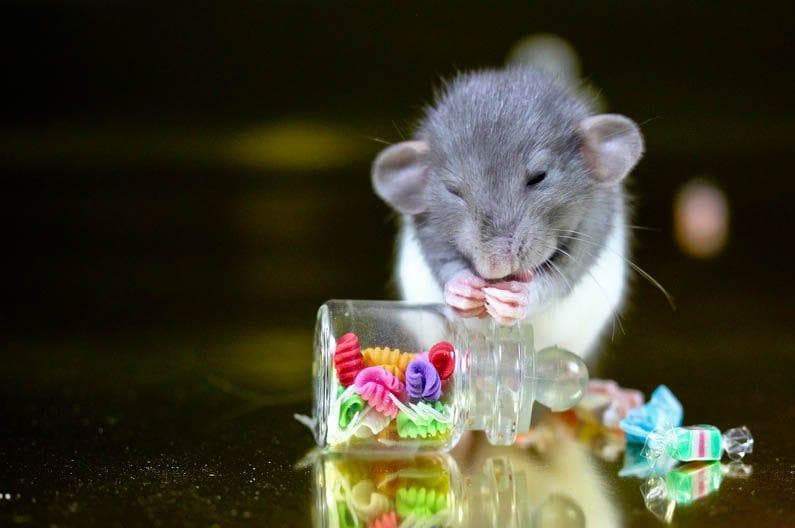 12 FDA Regulations That Will Scare You