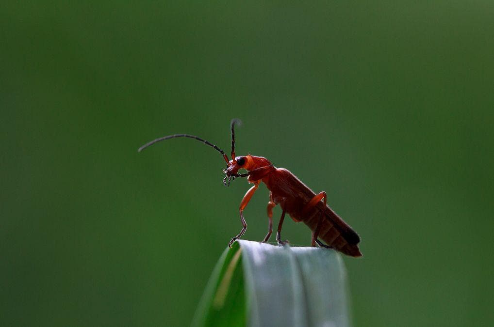 12 FDA Regulations That Will Scare You