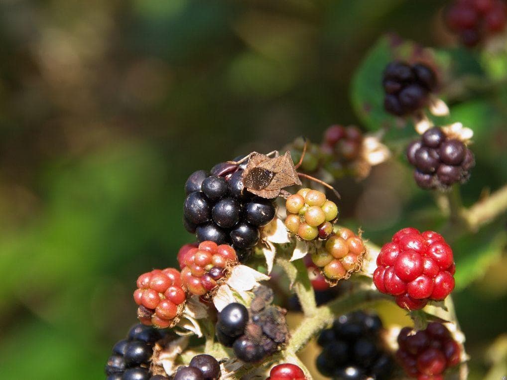 12 FDA Regulations That Will Scare You