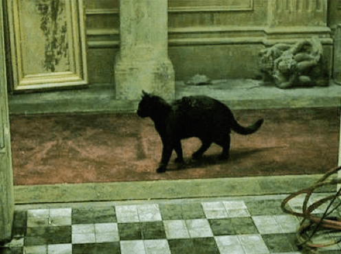 12 Signs That You're Already Dead And Just Hanging Out In Purgatory