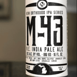 The 50+ Best Michigan Beers, Ranked By Beer Lovers
