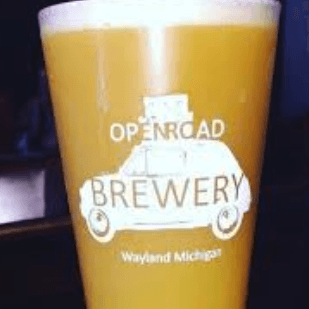 The 50+ Best Michigan Beers, Ranked By Beer Lovers