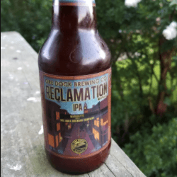 The 50+ Best Michigan Beers, Ranked By Beer Lovers