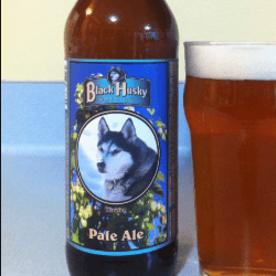 The Best Milwaukee Beers, Ranked By Beer Lovers