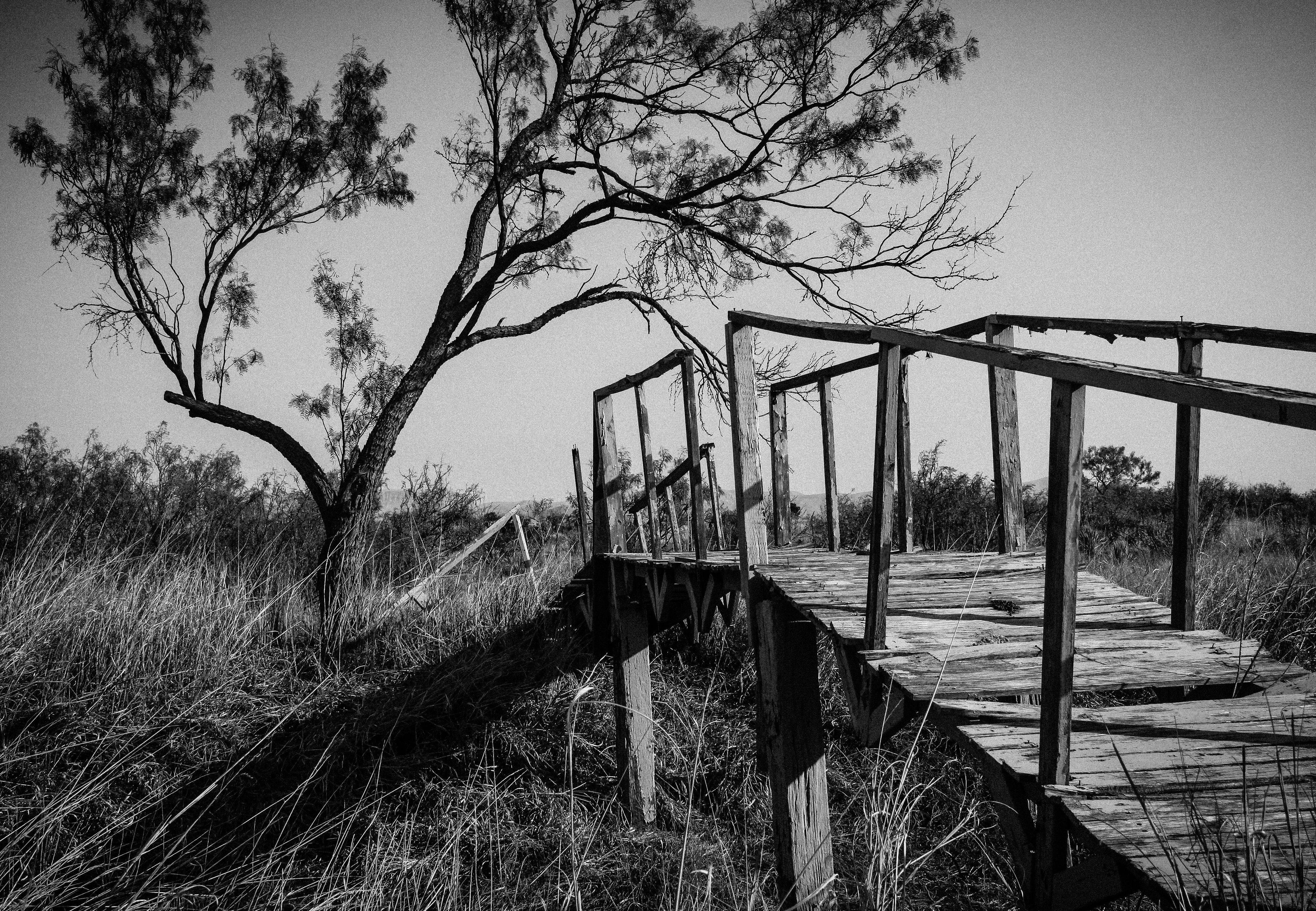 The Most Infamous (And Downright Creepy) Urban Legends From Every State