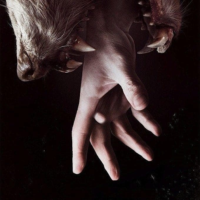 All 3 Seasons Of 'Hemlock Grove,' Ranked By Fans