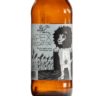 The 25+ Best Chicago Beers, Ranked By Beer Lovers