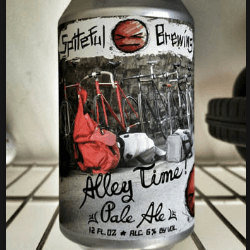 The 25+ Best Chicago Beers, Ranked By Beer Lovers