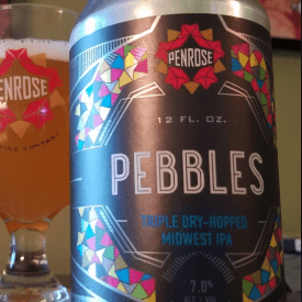 The 25+ Best Chicago Beers, Ranked By Beer Lovers