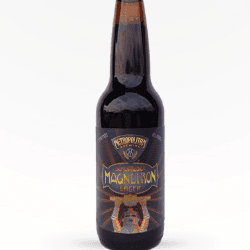The 25+ Best Chicago Beers, Ranked By Beer Lovers