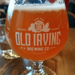 The 25+ Best Chicago Beers, Ranked By Beer Lovers