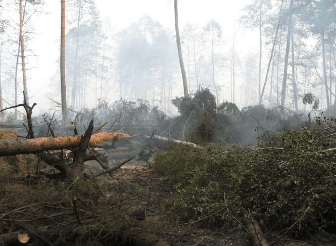 The 11 Worst Heat Waves in World History