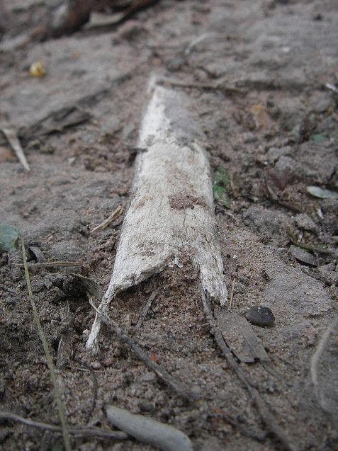 An Old Dumping Ground For Bodies In NYC Is Starting To Turn Up Millions ...