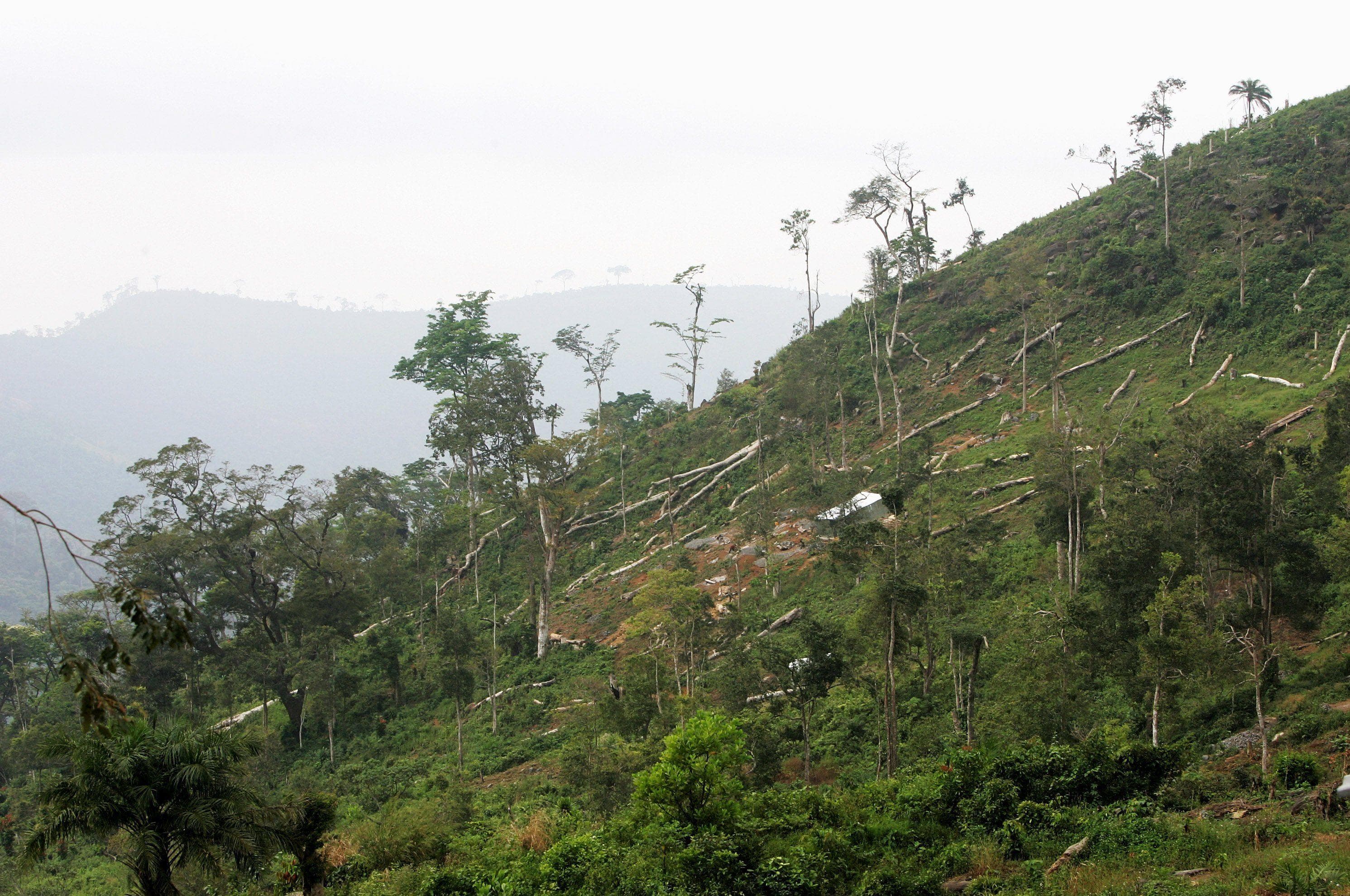 The 11 Worst Mudslides in World History