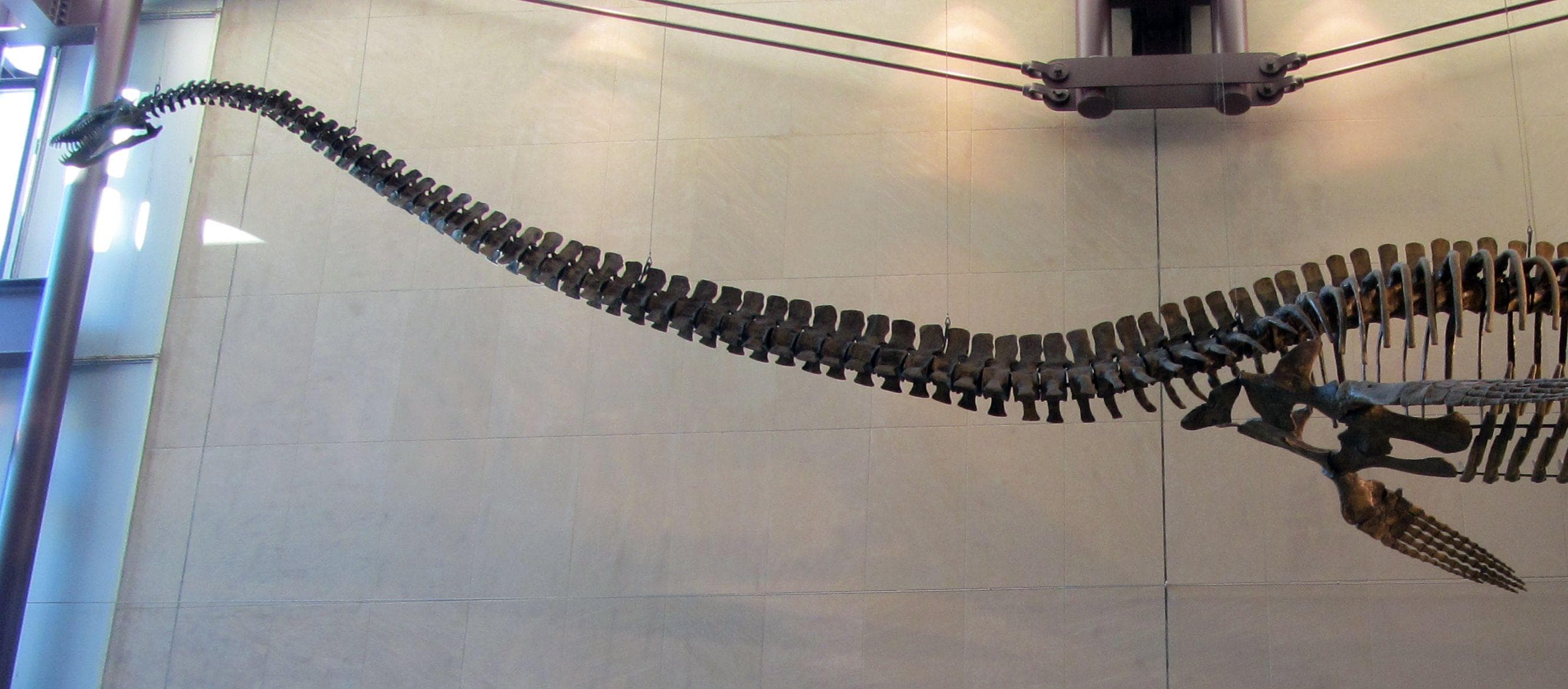 Remembering The Bone Wars: The Feud That Created And Almost Destroyed ...