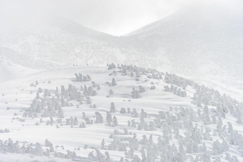 The 21 Worst Blizzards In World History
