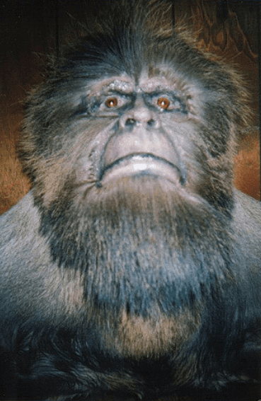 12 Creepy Stories and Urban Legends from Virginia