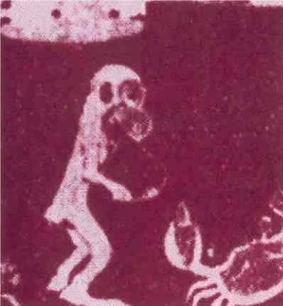 The History of Anime And How It Has Evolved Though The Years