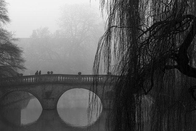 The Black Shuck - England's Legendary Hellhound