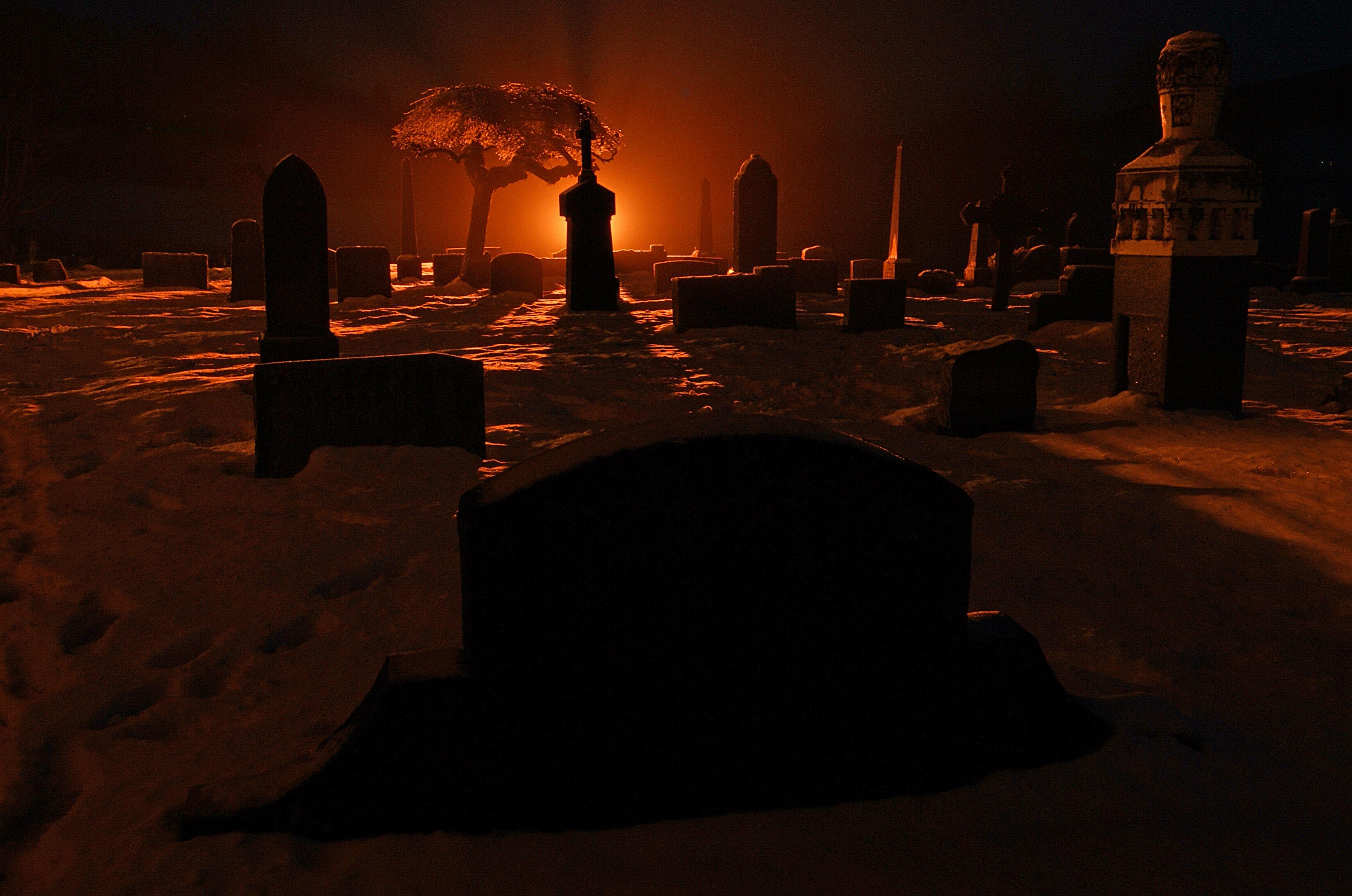 Meet The Rebobs, Flying Monkeys Of Napa Valley Created By The Government