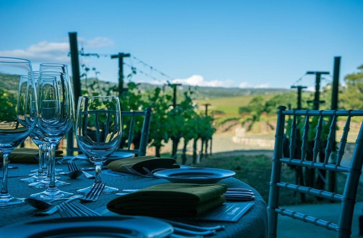 Meet The Rebobs, Flying Monkeys Of Napa Valley Created By The Government