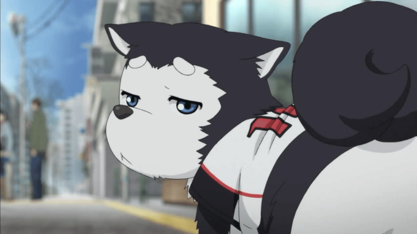 The 15 Greatest Anime Dogs of All Time