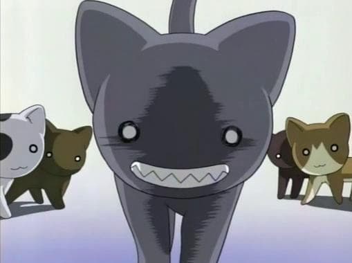 The 15 Greatest Anime Cats You Desperately Want To Pet