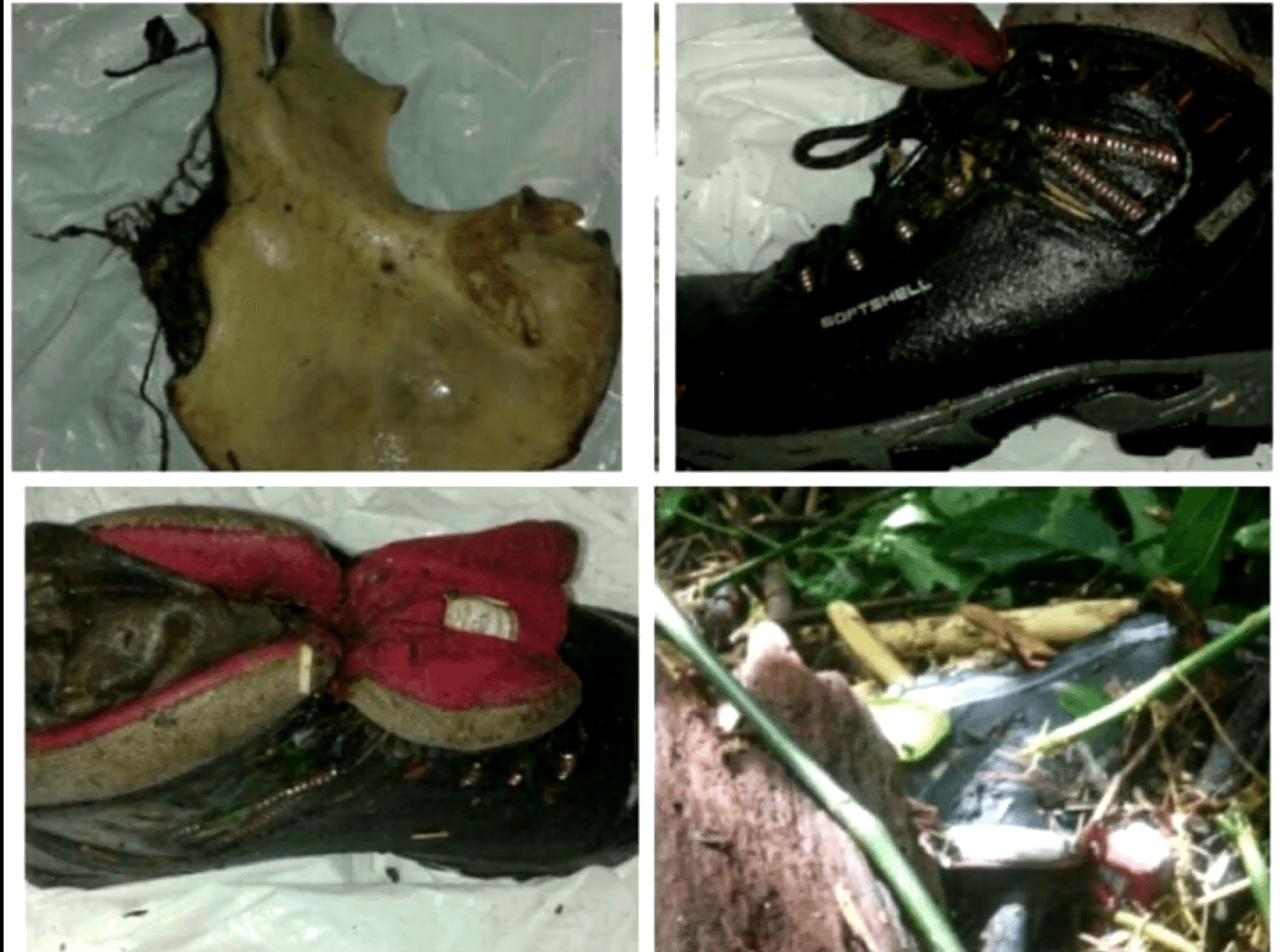 What Really Happened To Two Dutch Hikers Who Disappeared In Panama?