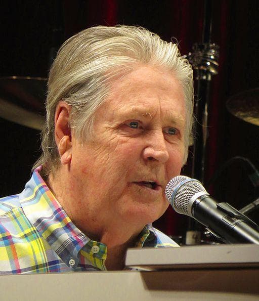 The 12 Most Bizarre Musical Moments in Brian Wilson's Career