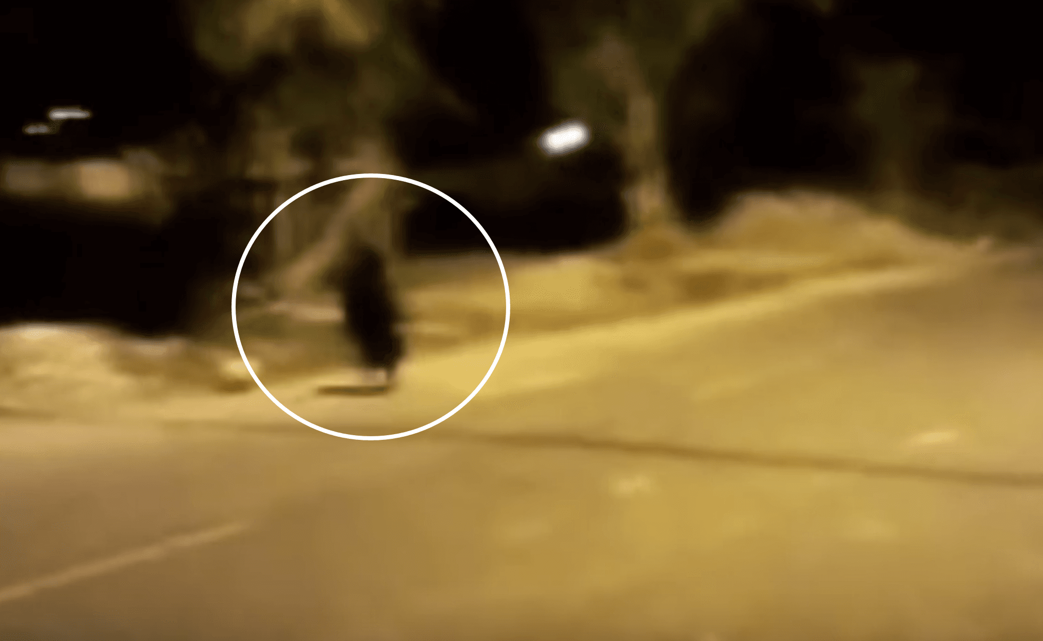 16 Real Photos That Just Might Contain Goblins